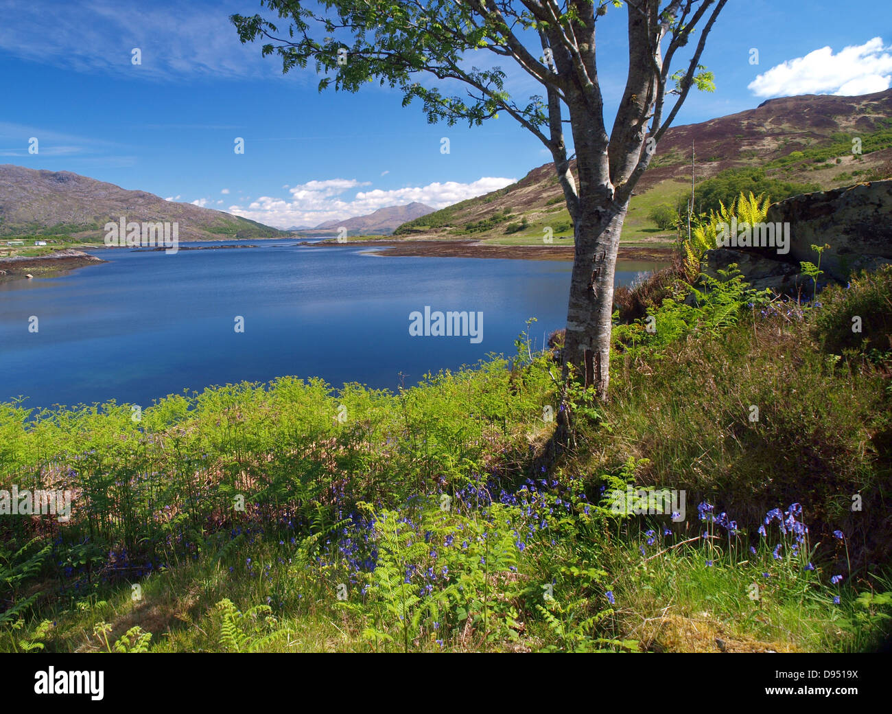 The island of carna in loch sunart on scotlands west hi-res stock ...