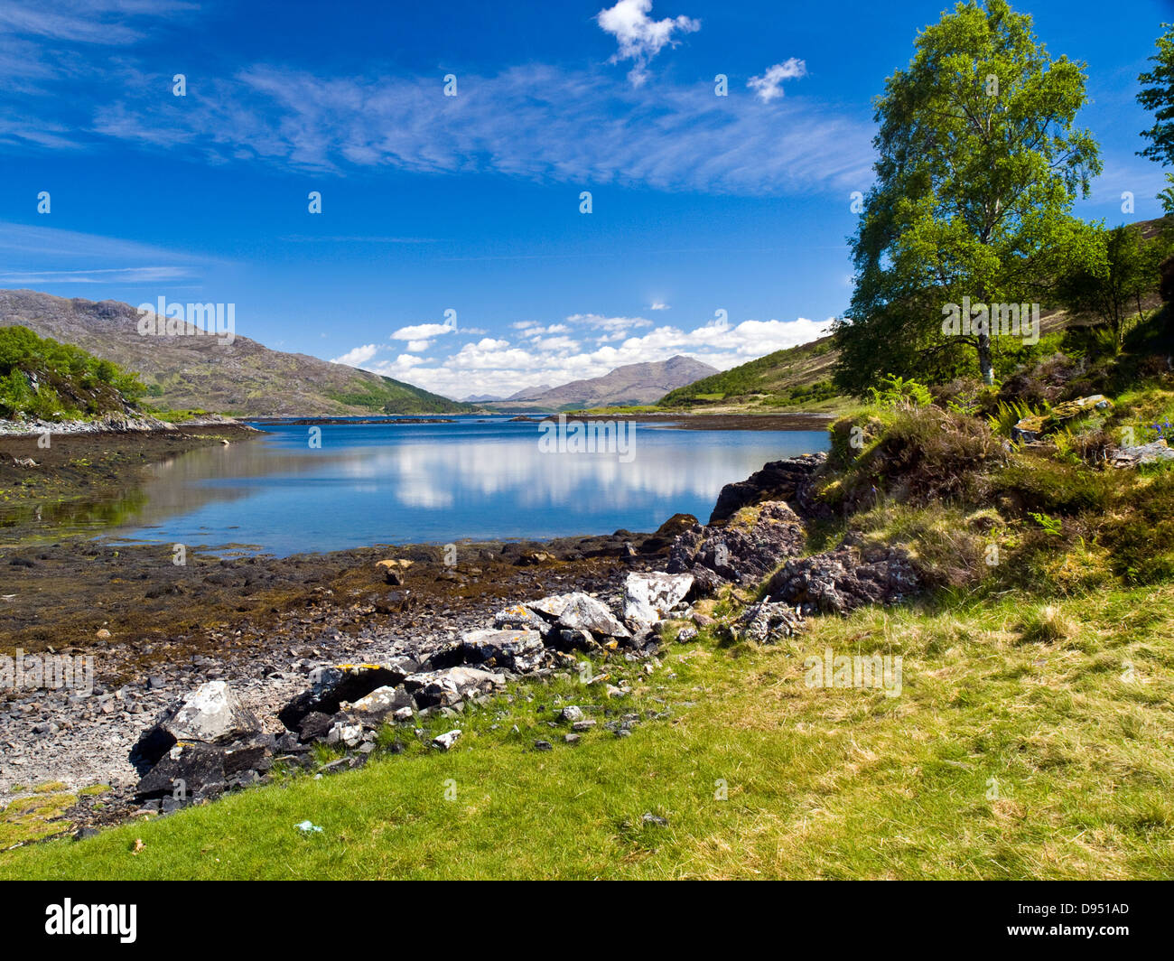 The island of Carna in Loch Sunart, Scotland Stock Photo - Alamy