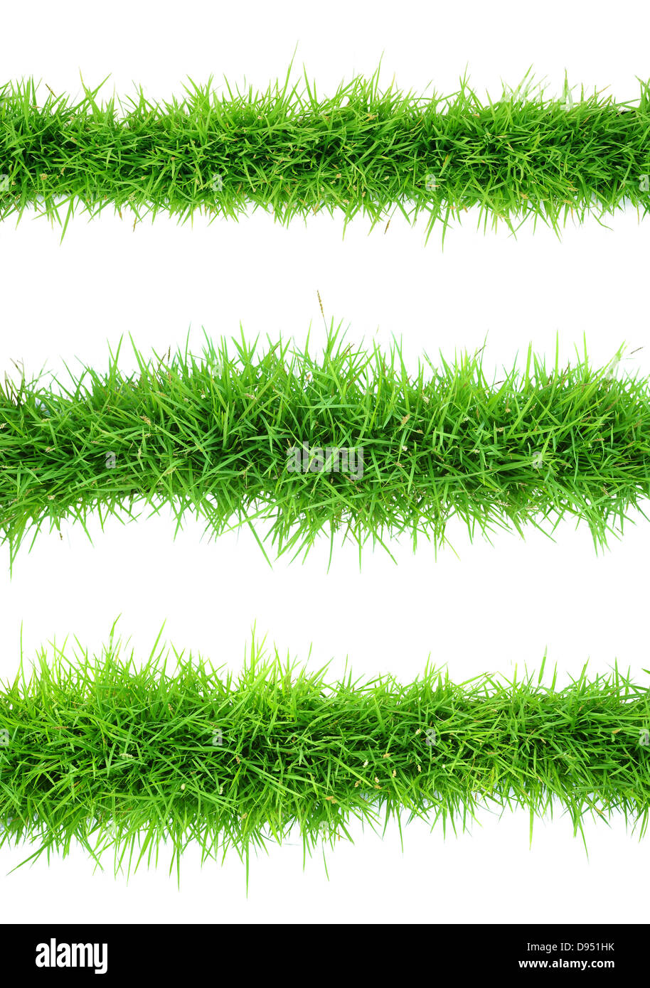 Top view of grass on white background Stock Photo - Alamy