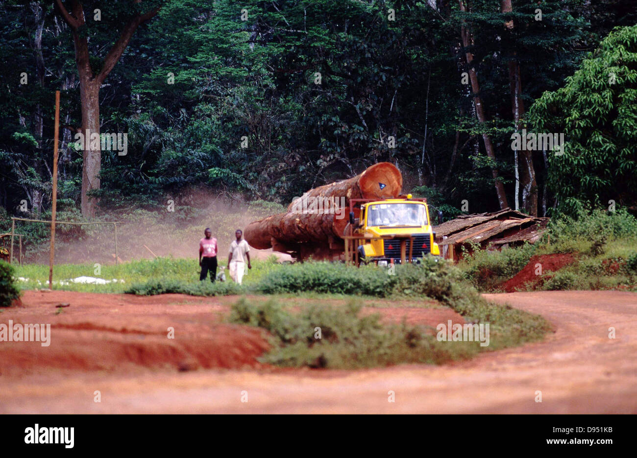 Logging truck in Cameroon rainforest Stock Photo - Alamy