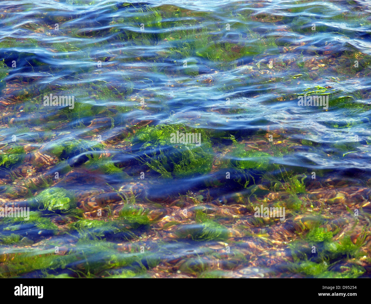 Pebble water ripples hi-res stock photography and images - Alamy