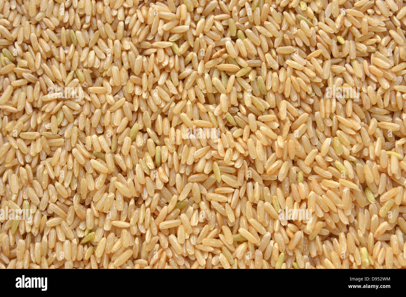 Brown rice background texture Stock Photo - Alamy