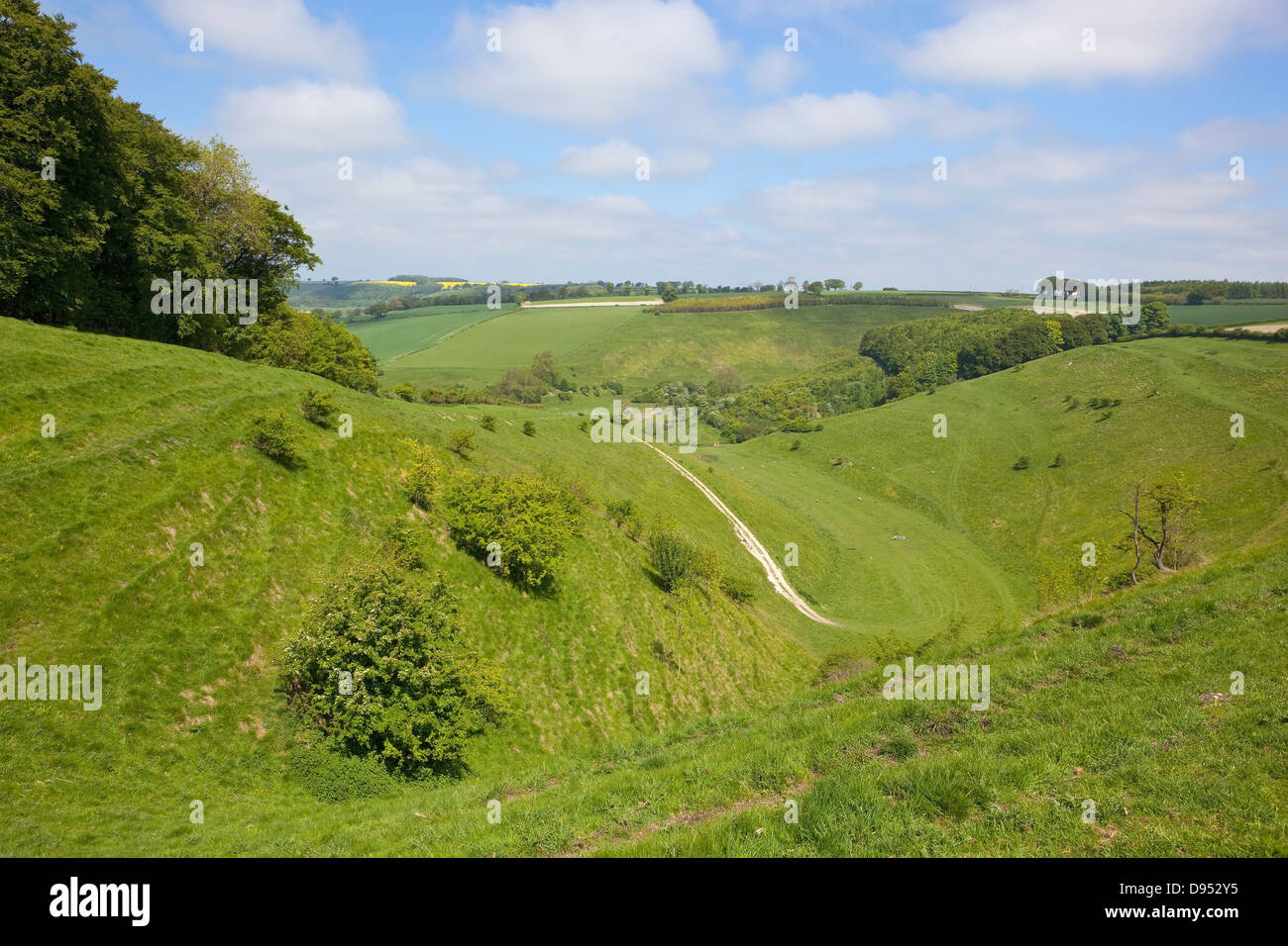 Woods summer view valley dale hi-res stock photography and images - Alamy