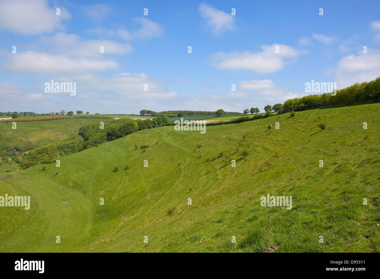 The lush green valley of scenic Painsthorpe dale, set in the farming ...