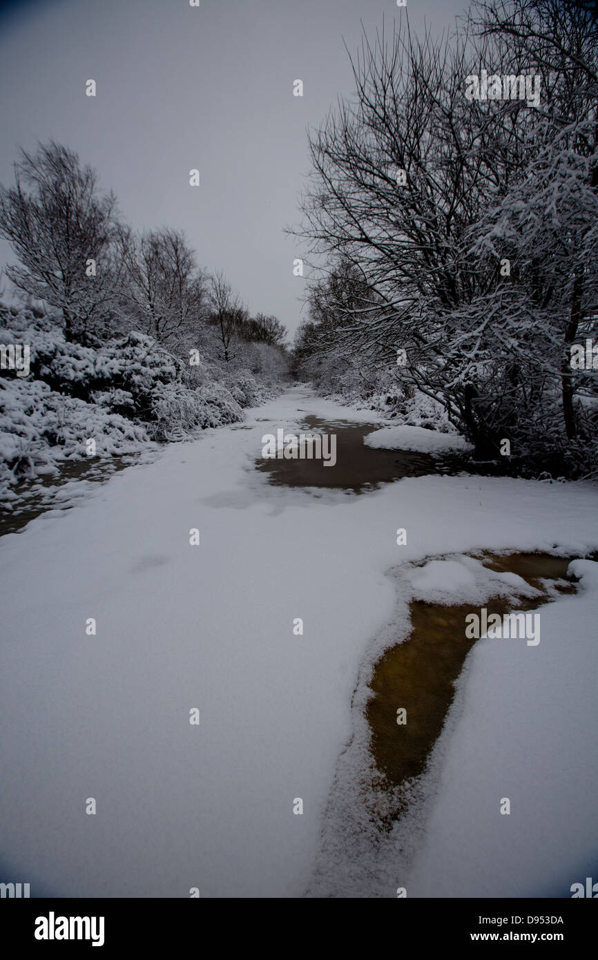 New Forest snow winter scene Stock Photo - Alamy