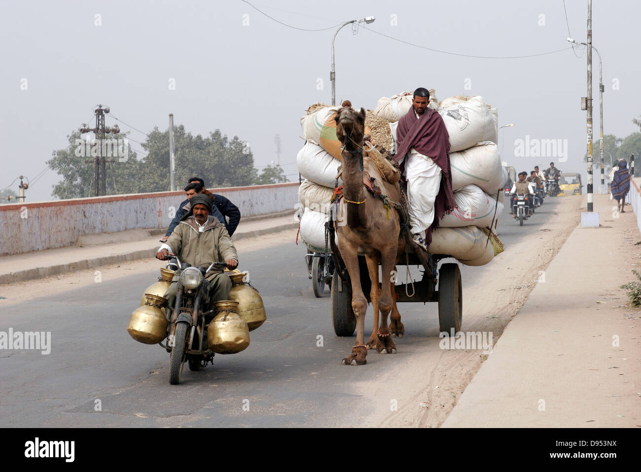 Camel pulling a cart loaded with cargo, Sawai Madhopur, Rajasthan ...