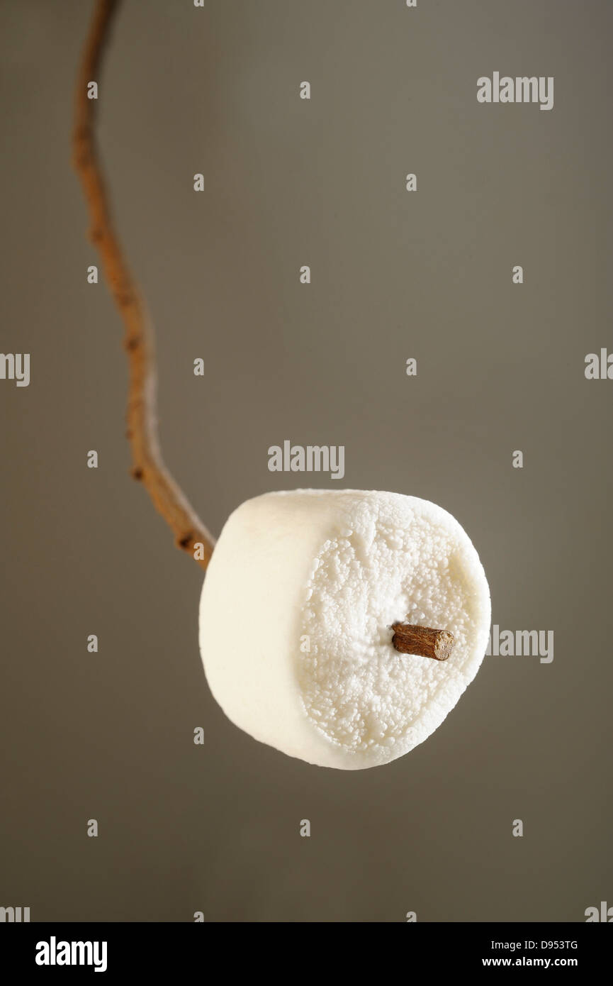 marshmallow on stick Stock Photo - Alamy