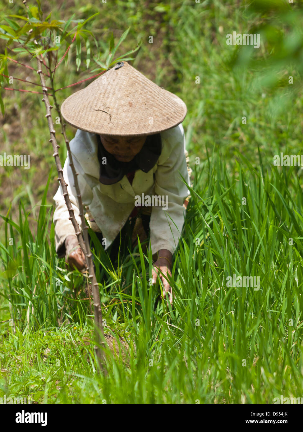 Peasants and workers hi-res stock photography and images - Alamy