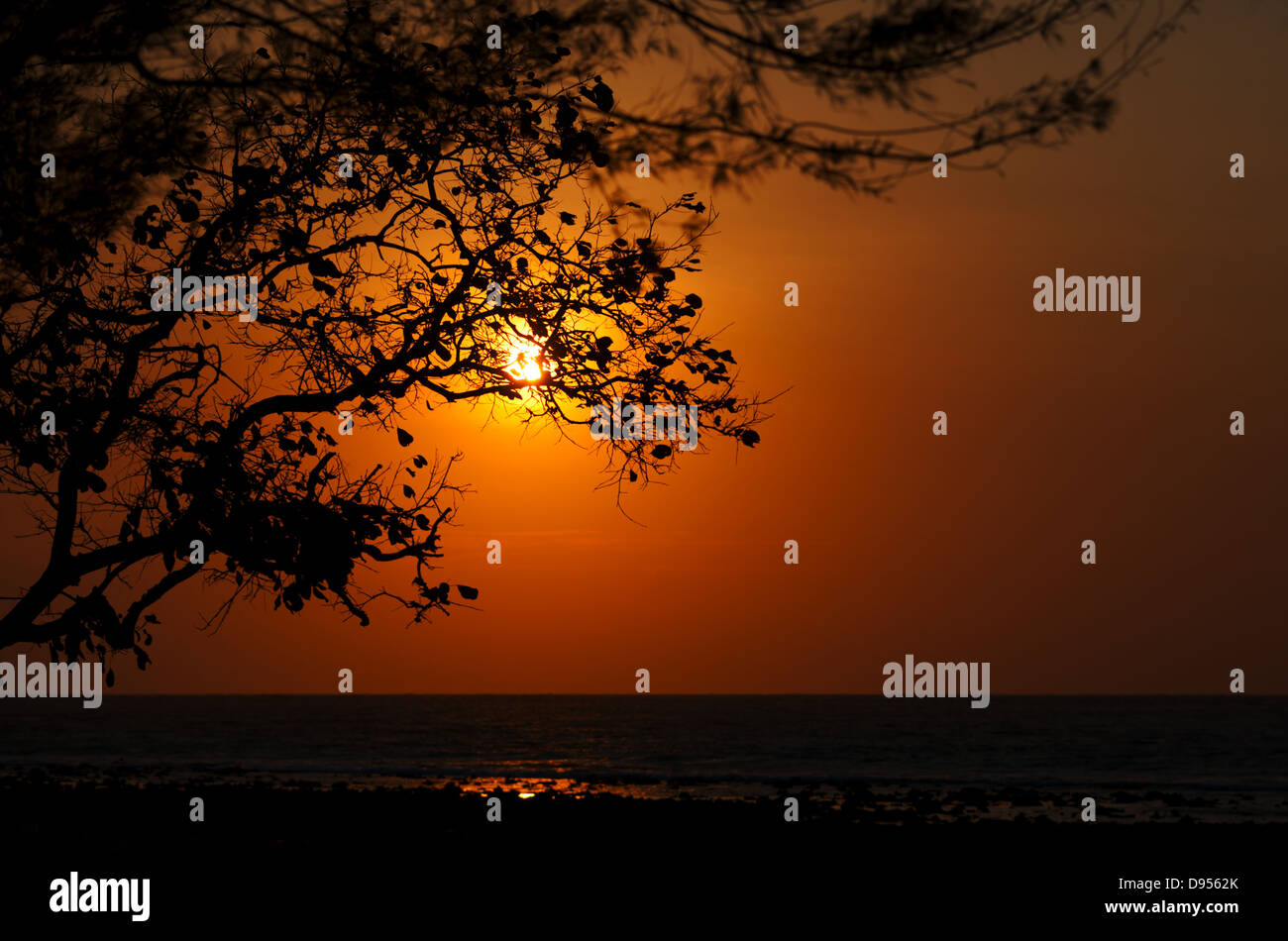 Wave sun see through hi-res stock photography and images - Alamy