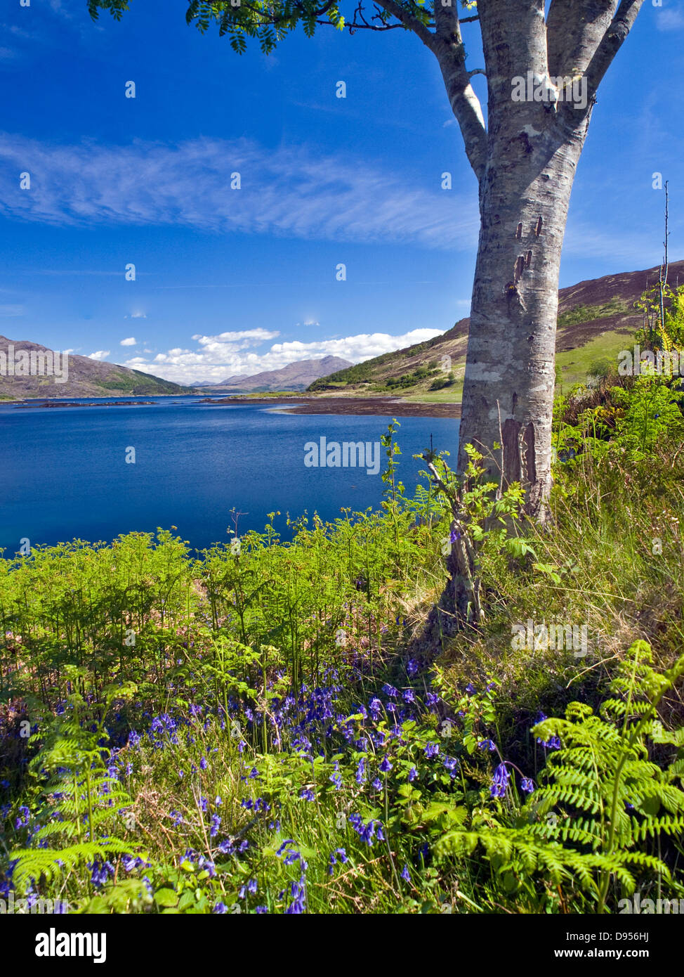 The island of Carna in Loch Sunart on Scotland's West Coast Stock Photo ...