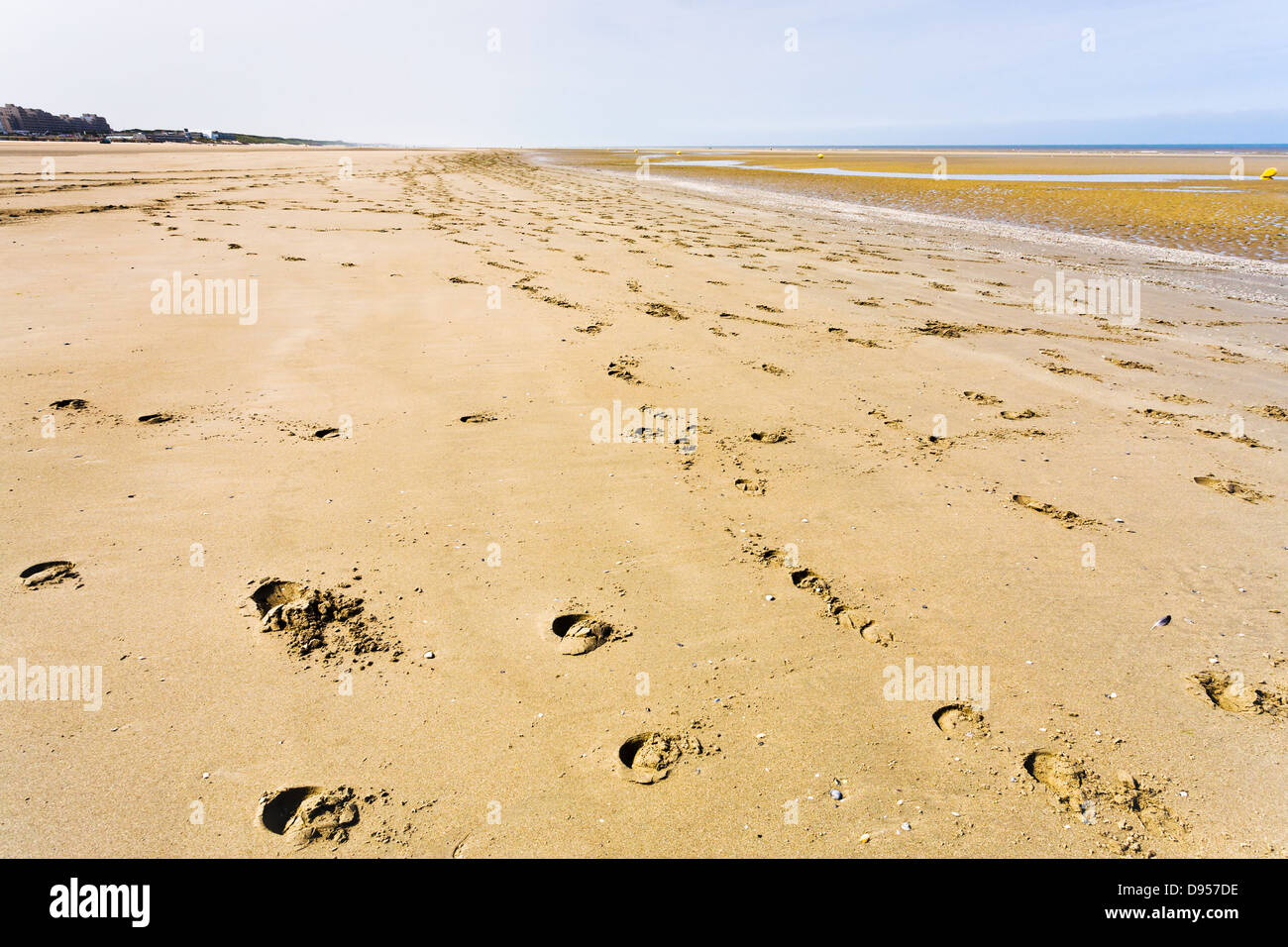 empty sand beach of english channel in summer day, France Stock Photo ...