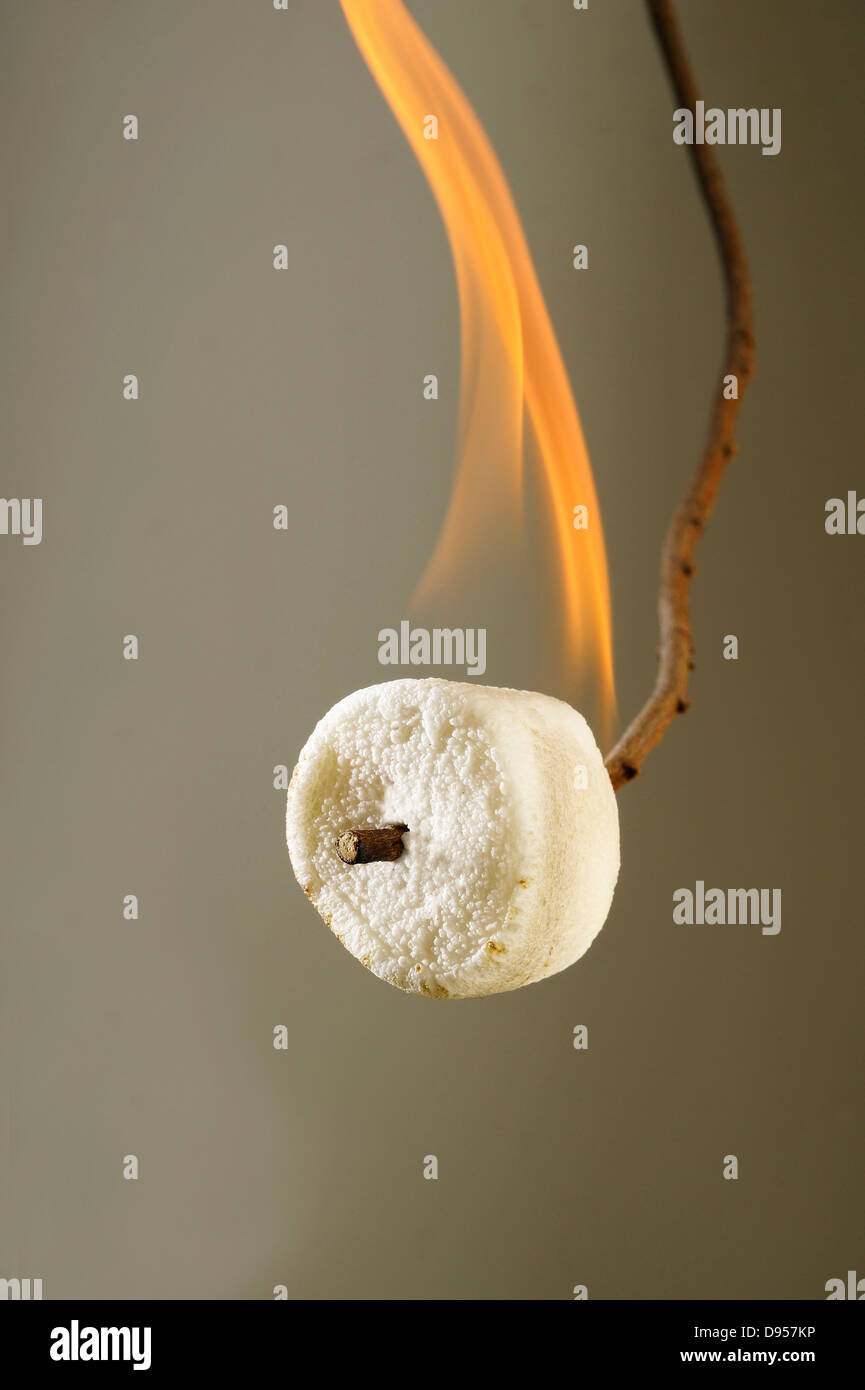 burning marshmallow on stick Stock Photo - Alamy