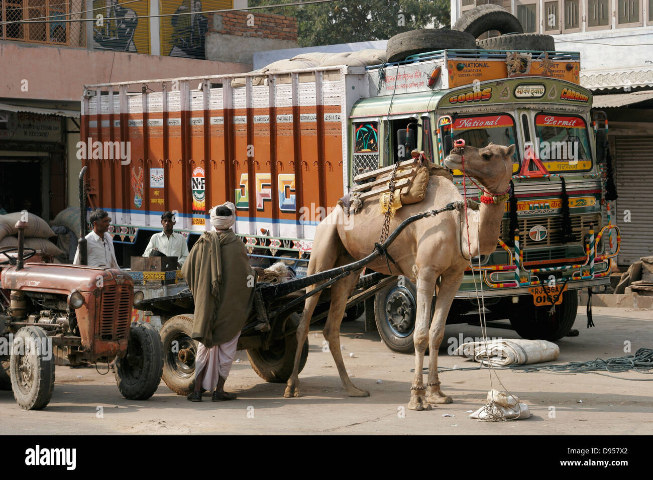 Camel cart, Sawai Madhopur, Rajasthan, India Stock Photo - Alamy