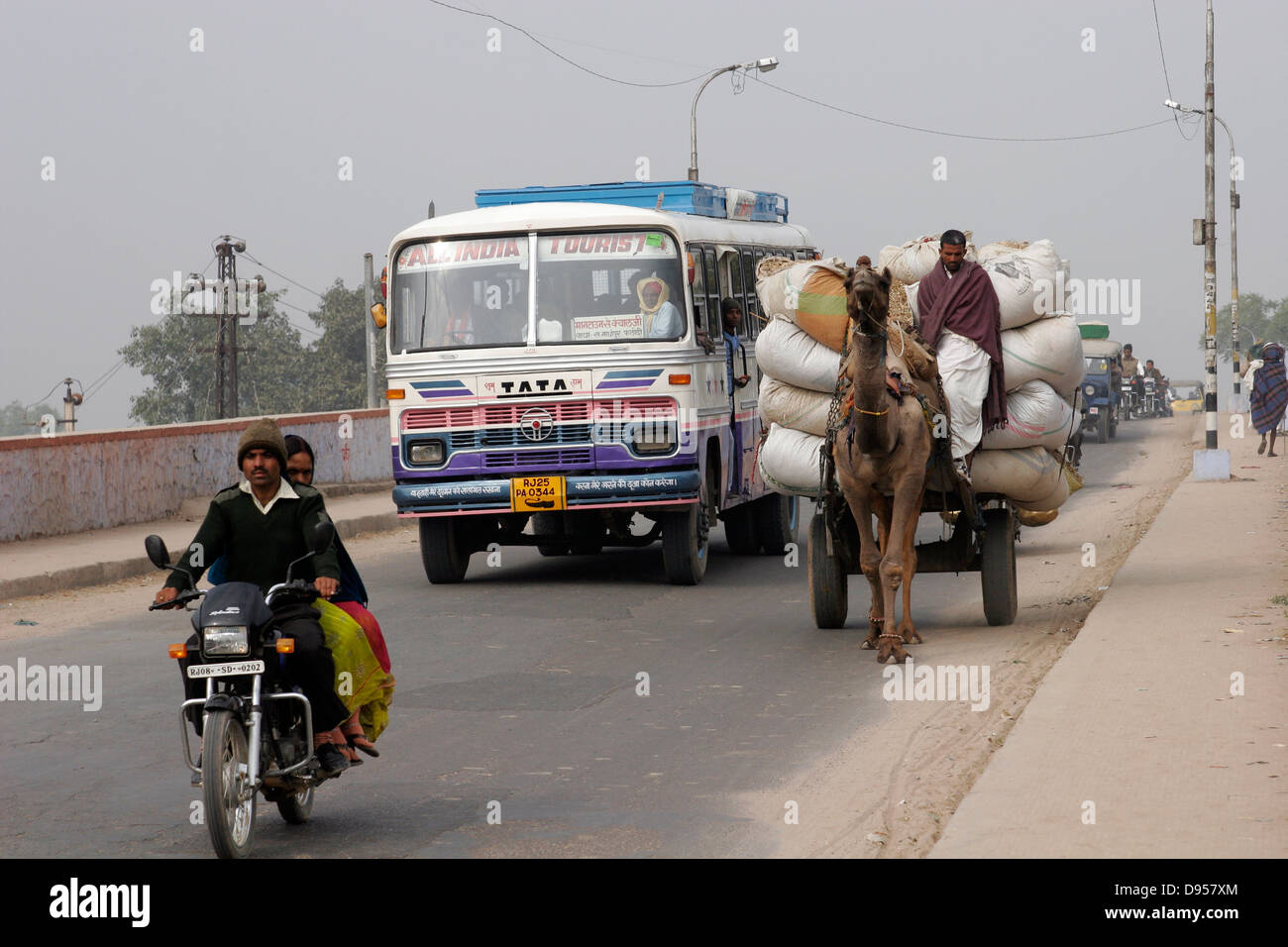 Camel pulling a cart loaded with cargo, Sawai Madhopur, Rajasthan ...