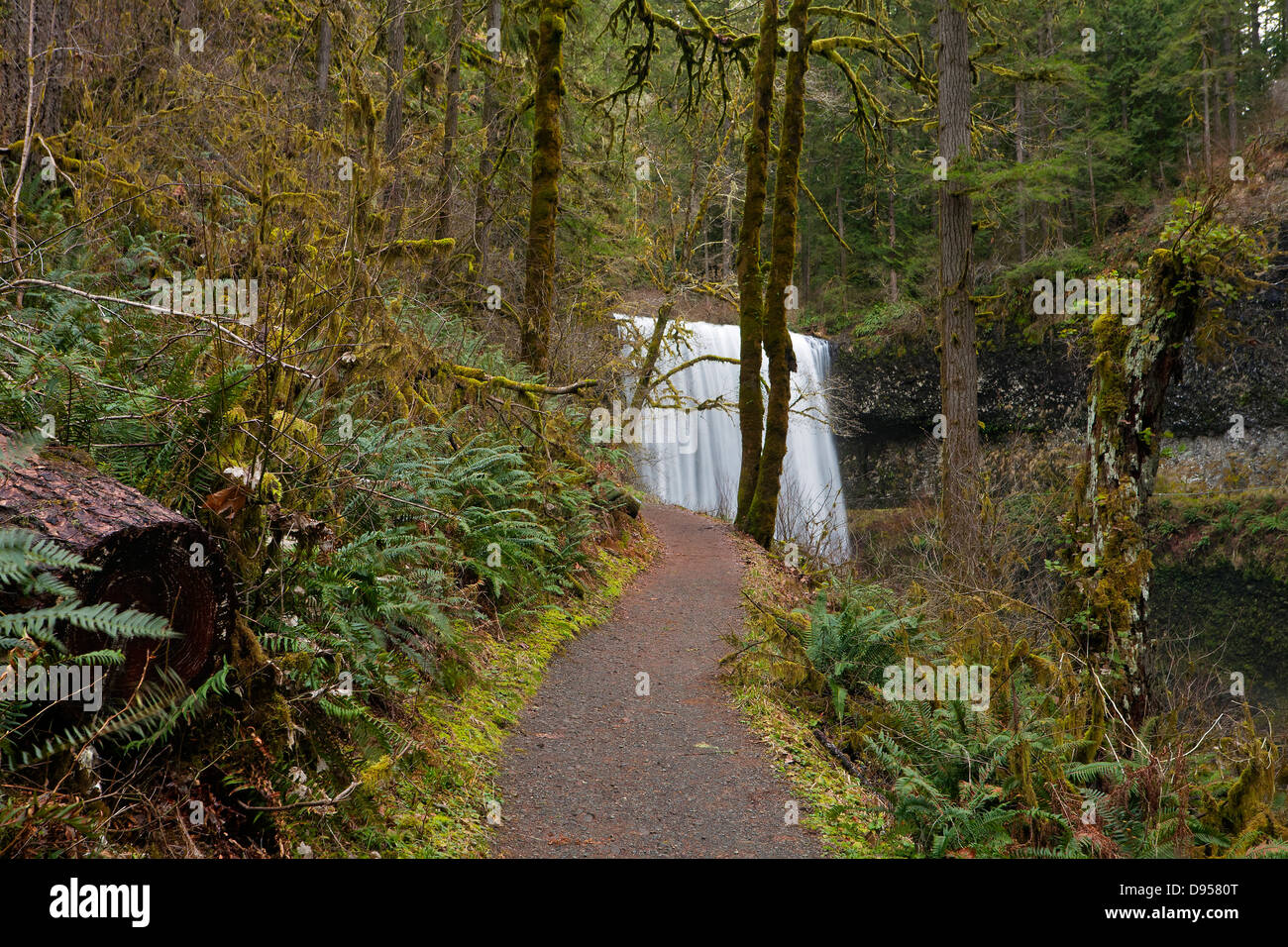 OR01063-00...OREGON - Trail of Ten Falls below Lower Silver Falls in ...