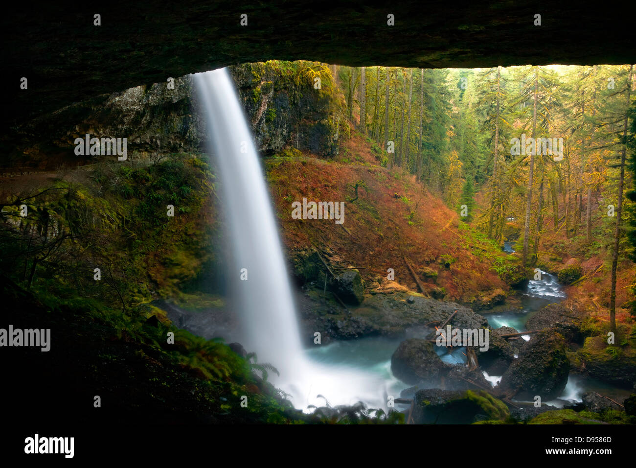 OREGON - The Trail of Ten Falls behind North Falls in the foothills of ...