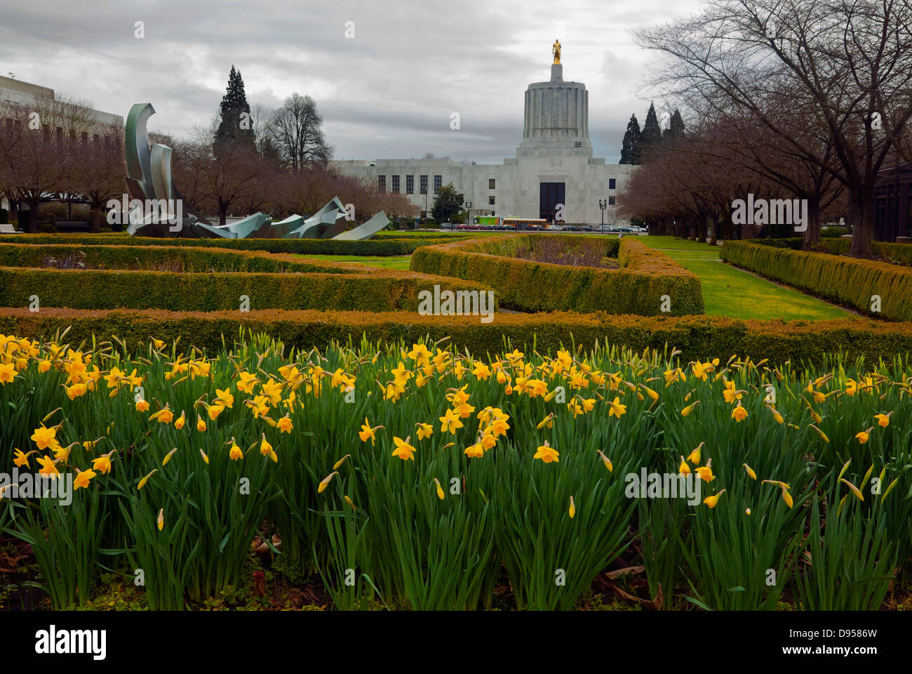 Daffodils on Oregon State Capitol Mall near Sprague Fountain and ...