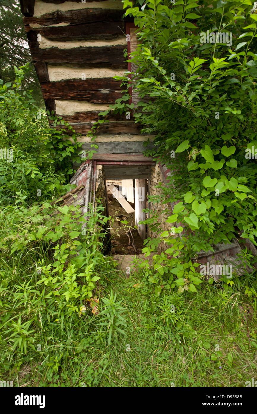 Root cellar hi-res stock photography and images - Alamy