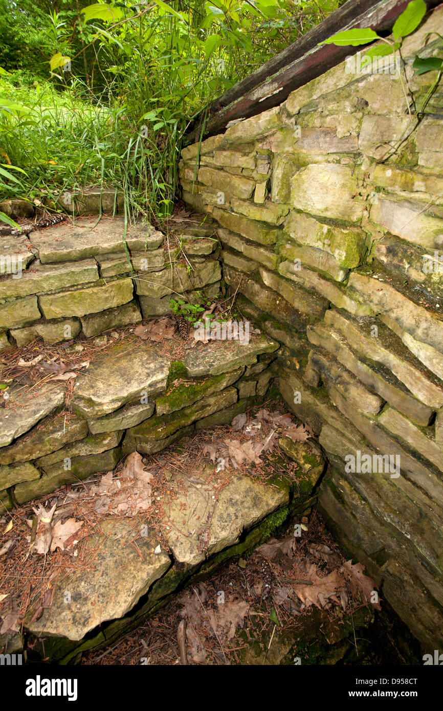 Root cellar hi-res stock photography and images - Alamy