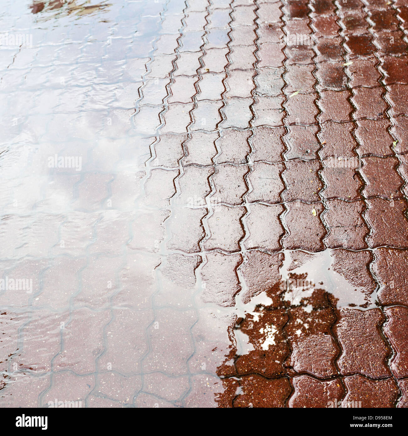 rain puddle on road tile of the town square Stock Photo - Alamy