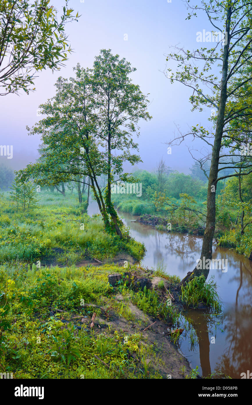 Dark brook hi-res stock photography and images - Alamy