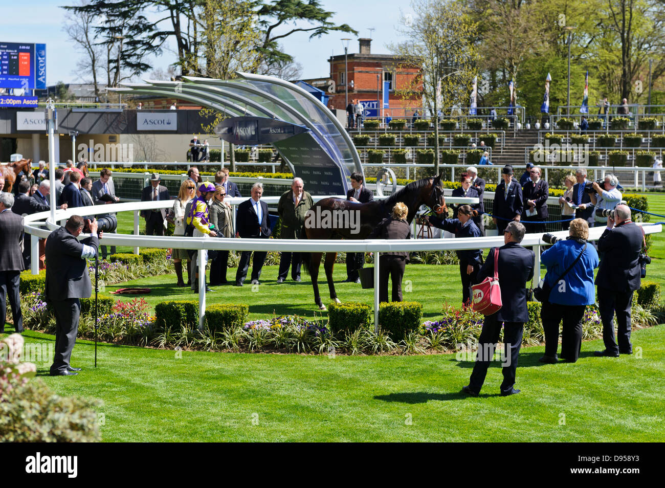 Mare Racecourse High Resolution Stock Photography and Images - Alamy