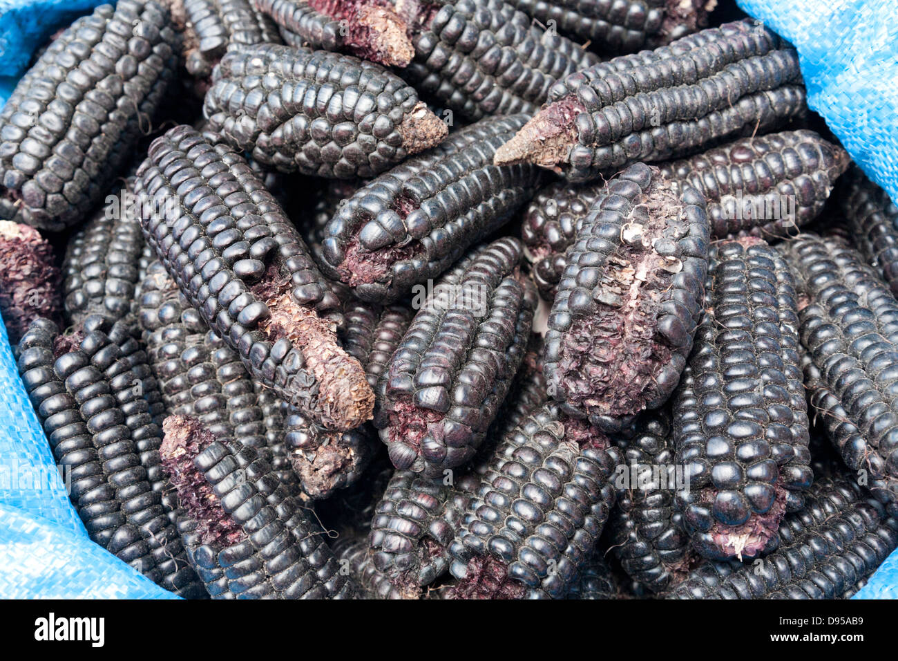 Corn, Rodriguez market, La Paz, Bolivia Stock Photo - Alamy