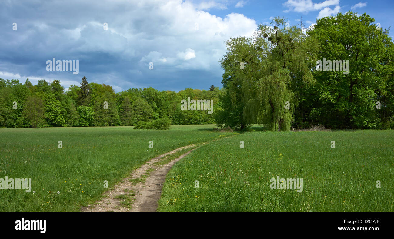 Central park path spring hi-res stock photography and images - Alamy