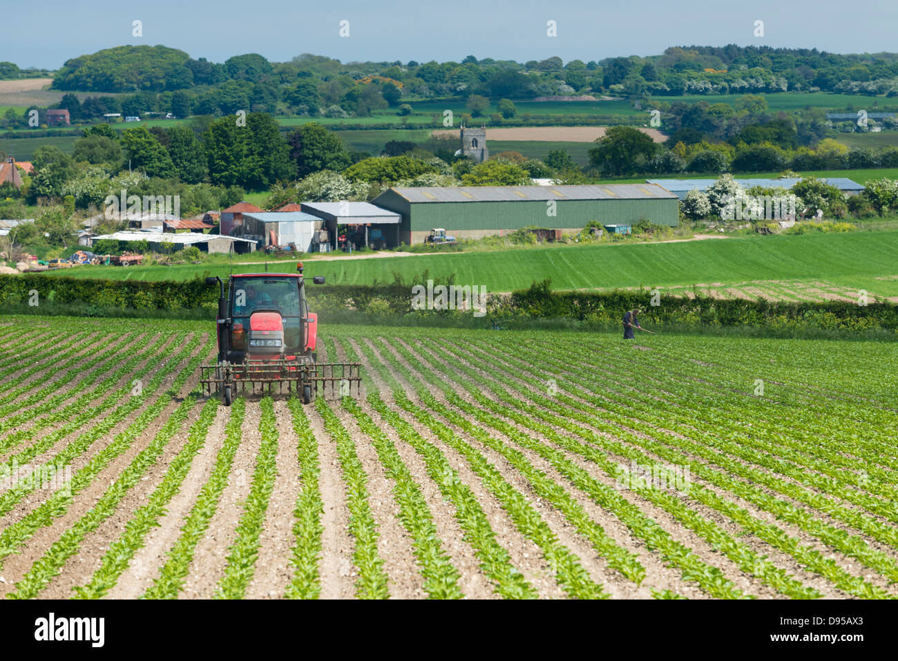 Hoeing Hoe Farming High Resolution Stock Photography and Images - Alamy