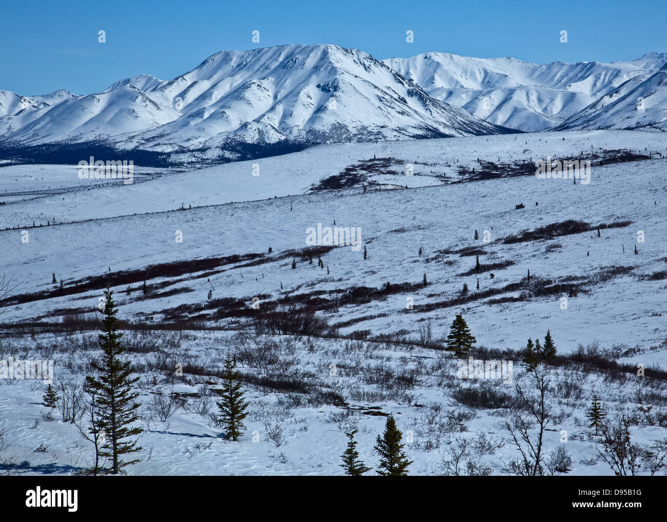 Alaska's Denali National Park Stock Photo - Alamy