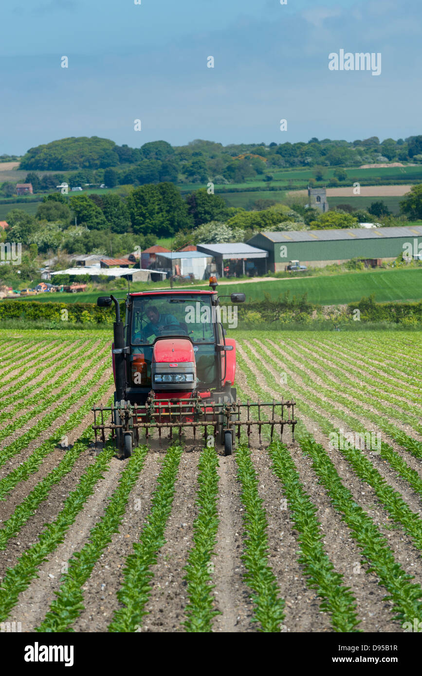 Hoeing Hoe Farming High Resolution Stock Photography and Images - Alamy