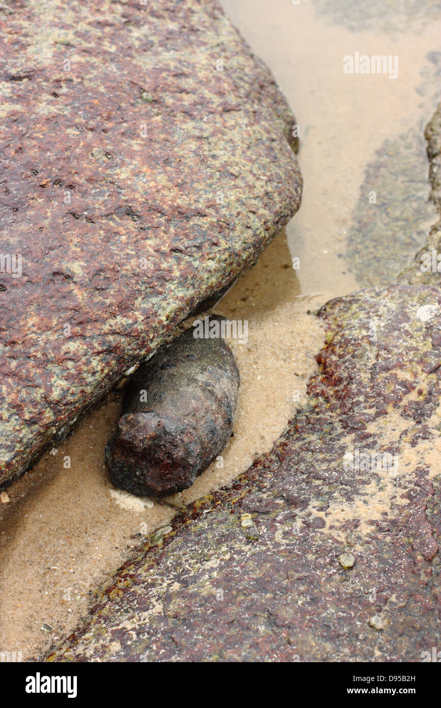 Unexploded mortar hi-res stock photography and images - Alamy