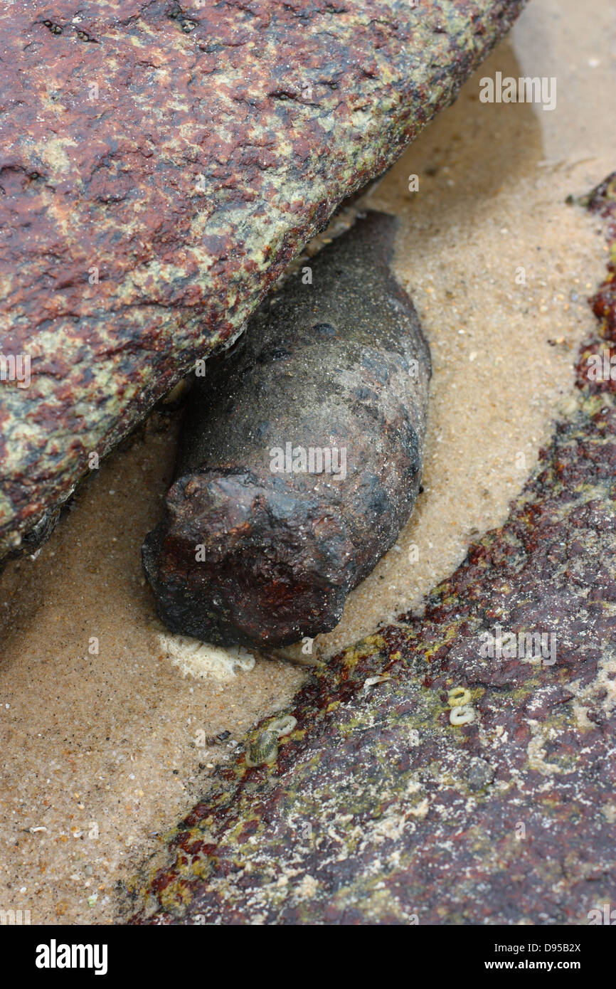 Old unexploded mortar. Kinmen County, Taiwan Stock Photo - Alamy