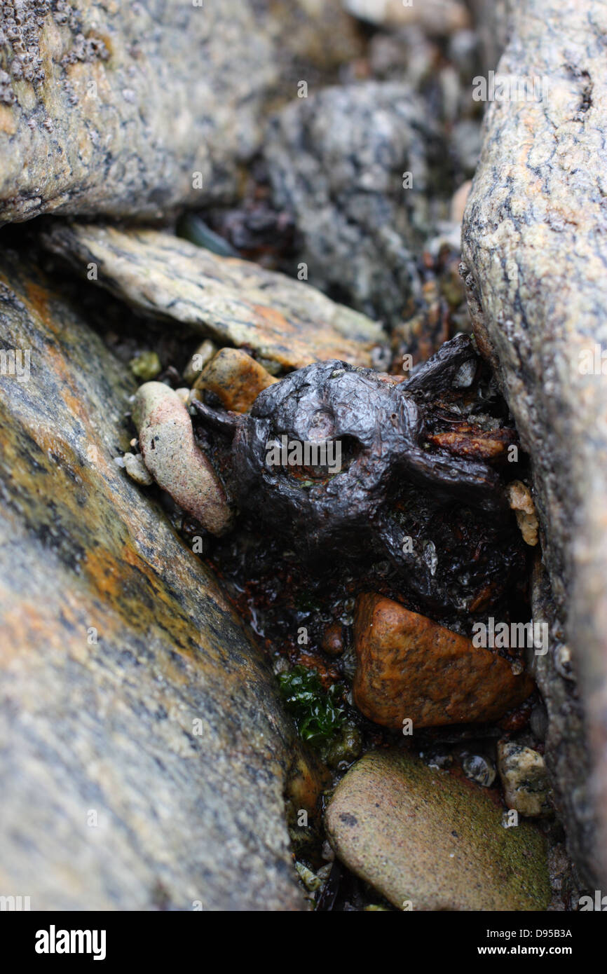 Unexploded mortar hi-res stock photography and images - Alamy