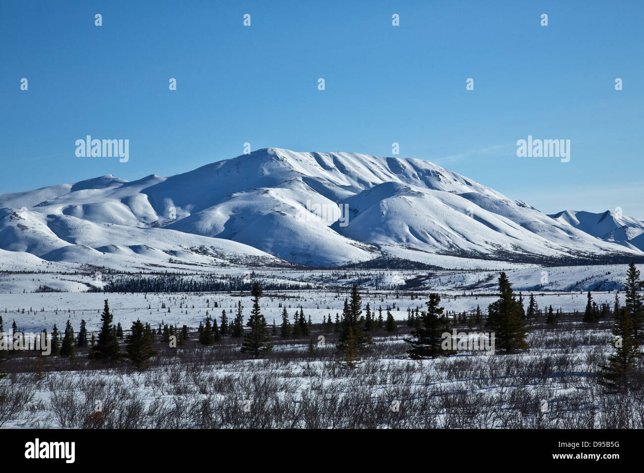 Denali of national park hi-res stock photography and images - Alamy