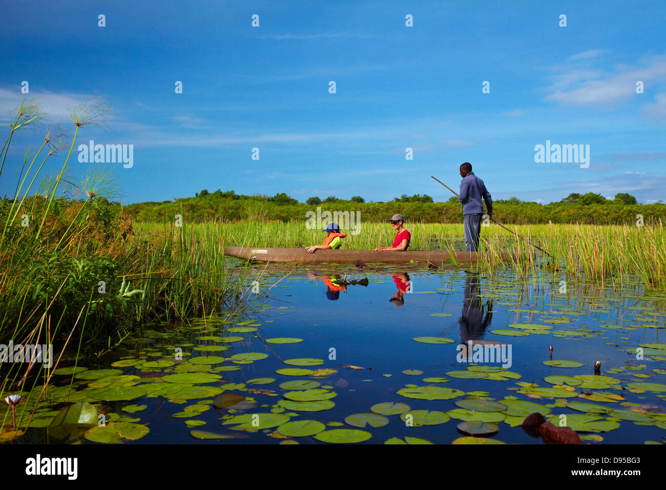 Tourists being poled though lily pads in mokoro (dugout canoe ...