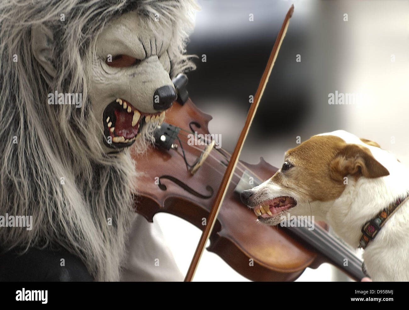 June 7, 2013 - Whitmore Lake, Michigan, U.S - The Violin Monster ...