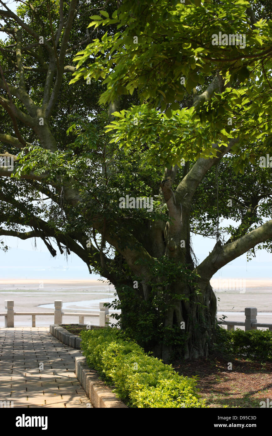 Jinmen county hi-res stock photography and images - Alamy