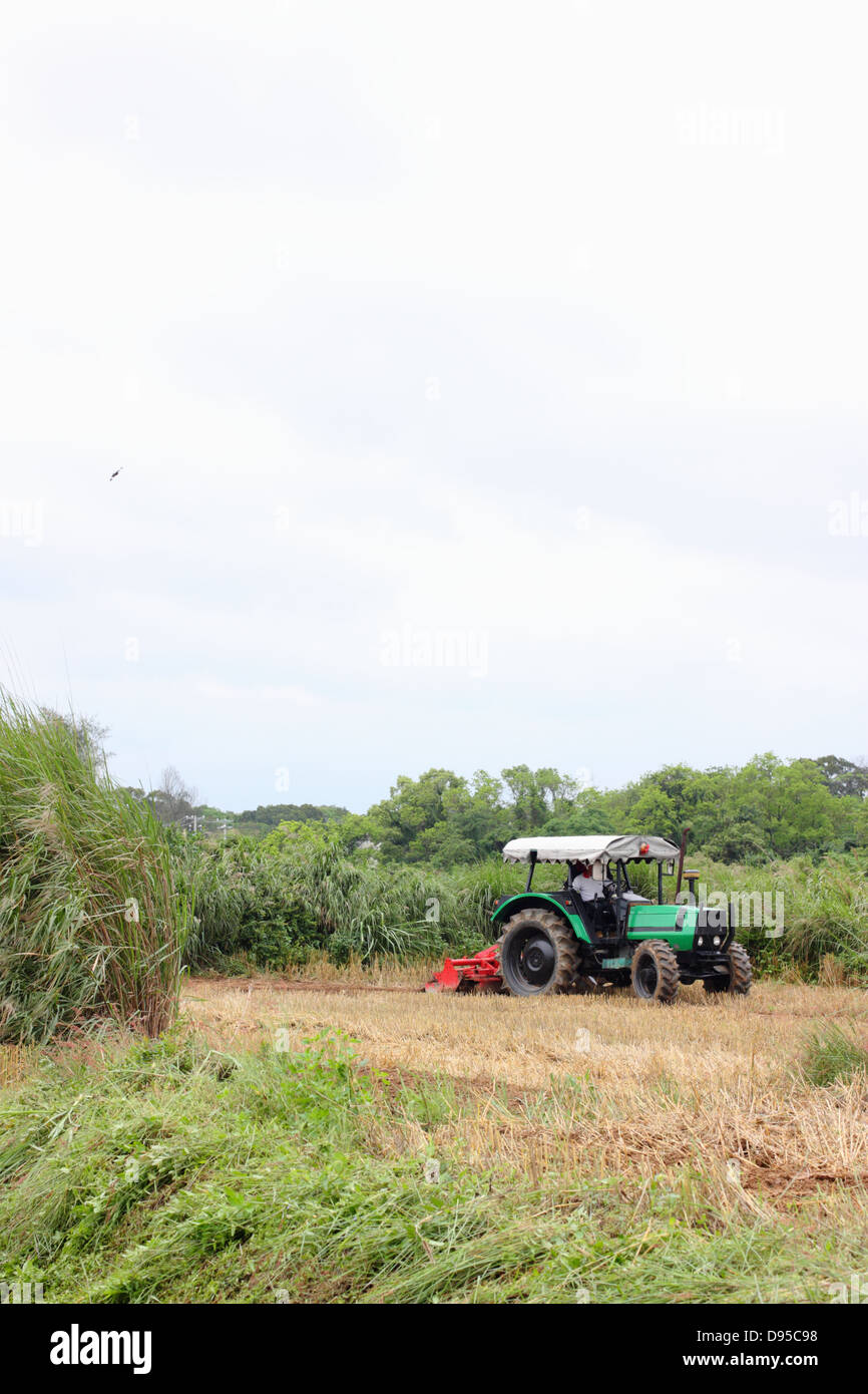A farmer plows his field after the wheat harvest. Kinmen County, Taiwan ...