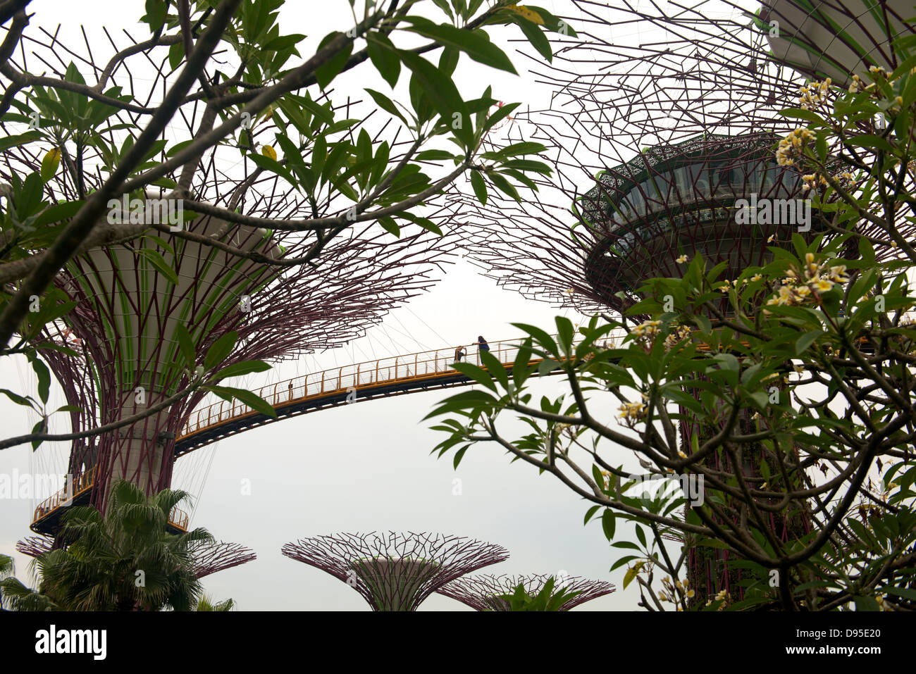 Supertrees hi-res stock photography and images - Alamy