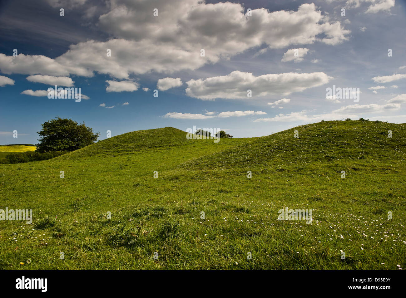 Round Barrow Cemetery High Resolution Stock Photography and Images - Alamy