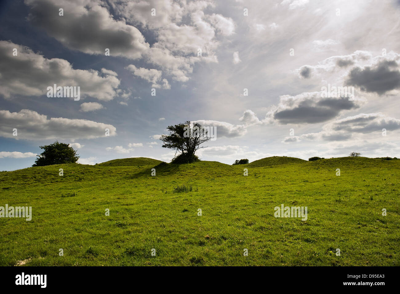 Round Barrow Cemetery High Resolution Stock Photography and Images - Alamy