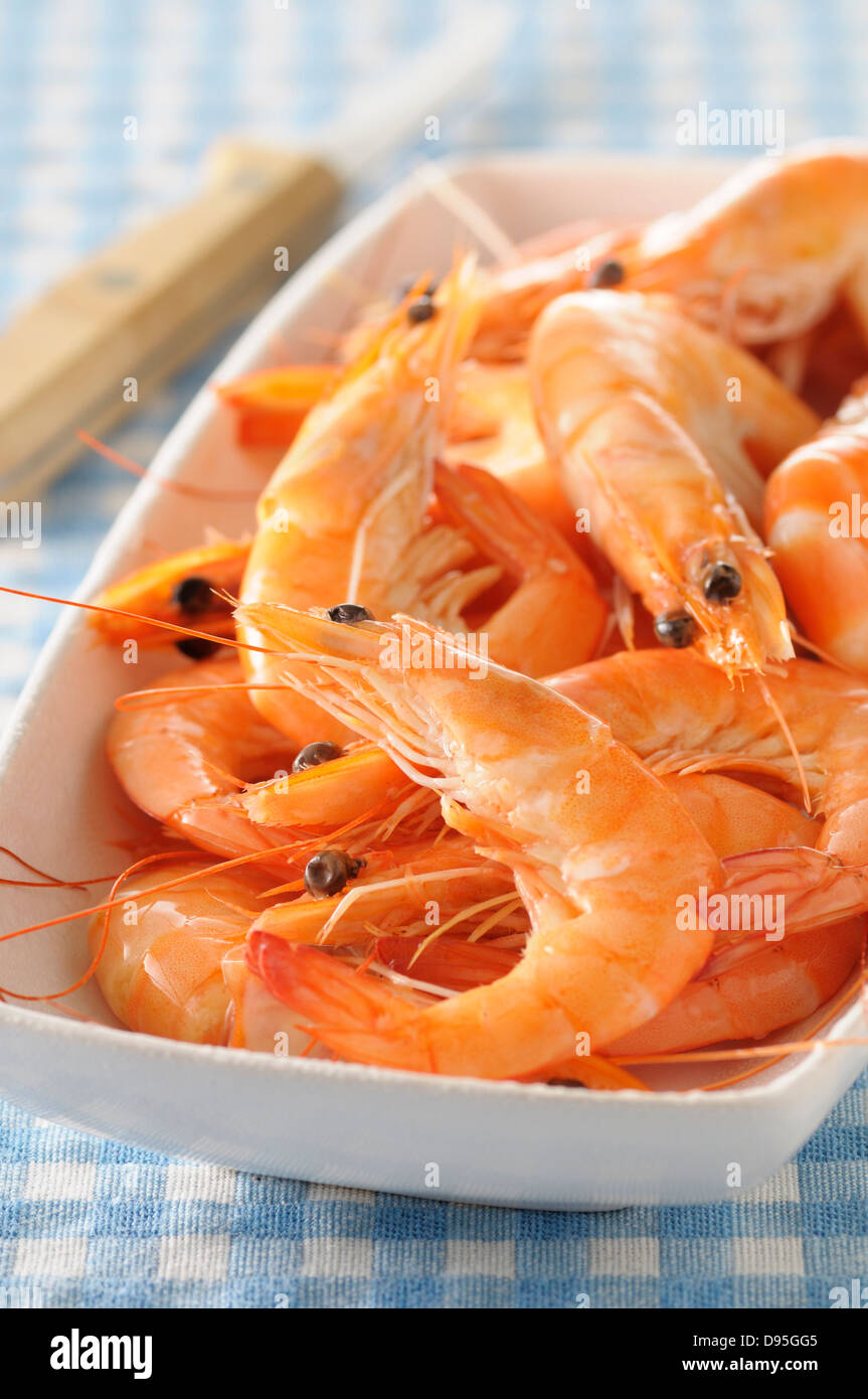 Close-up of Dish of King Prawns Stock Photo - Alamy