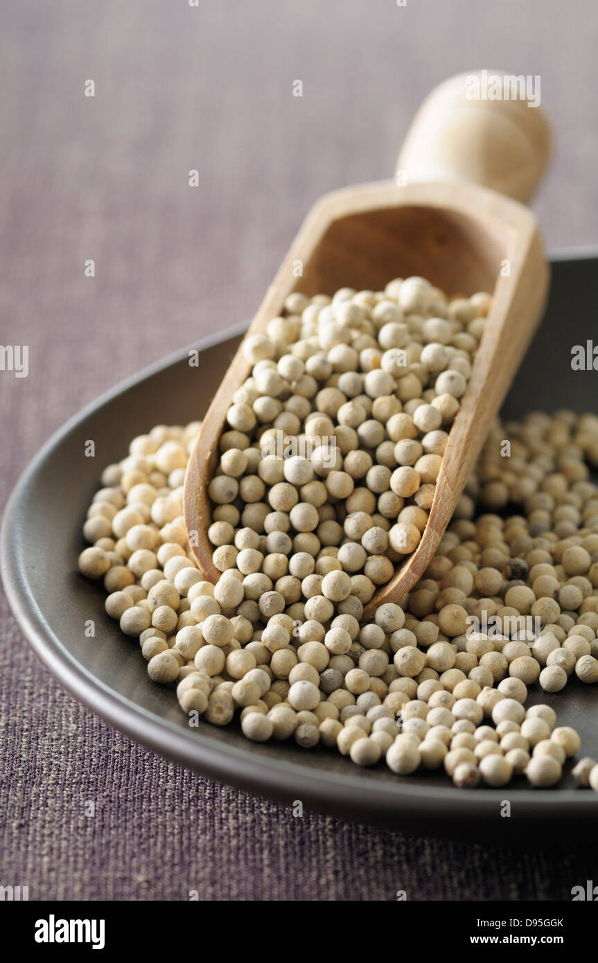 Close-up of Bowl of White Peppercorns with Scoop Stock Photo - Alamy