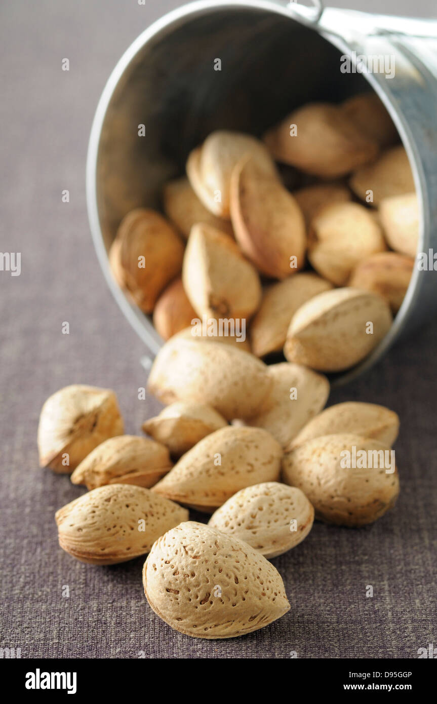 Nut spill hi-res stock photography and images - Alamy