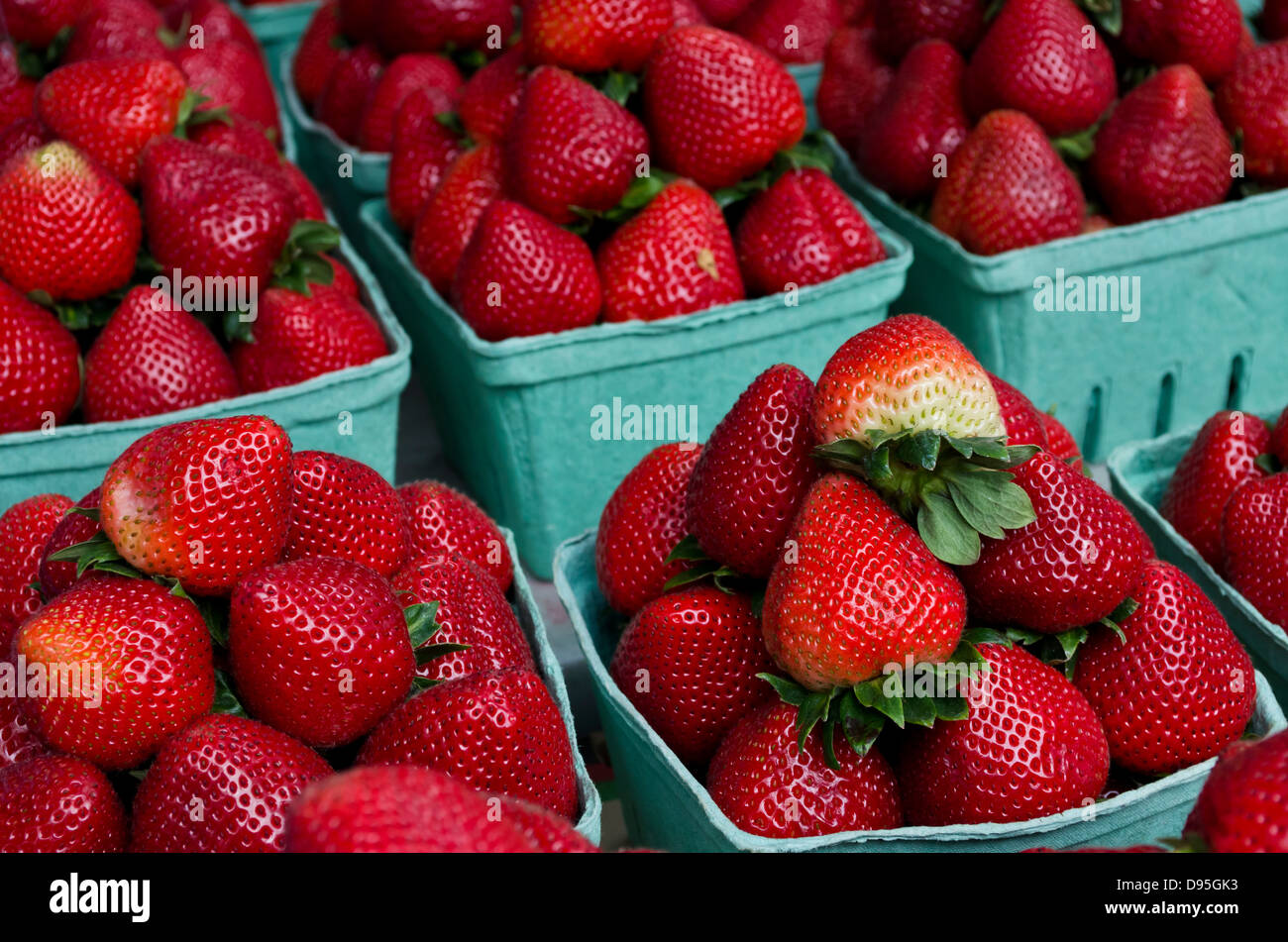 Baskets of fresh big red strawberries Stock Photo - Alamy