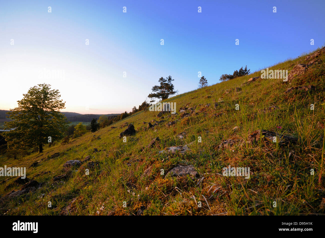 Landscape of bushes, and grassland in Upper Palatinate, Bavaria ...