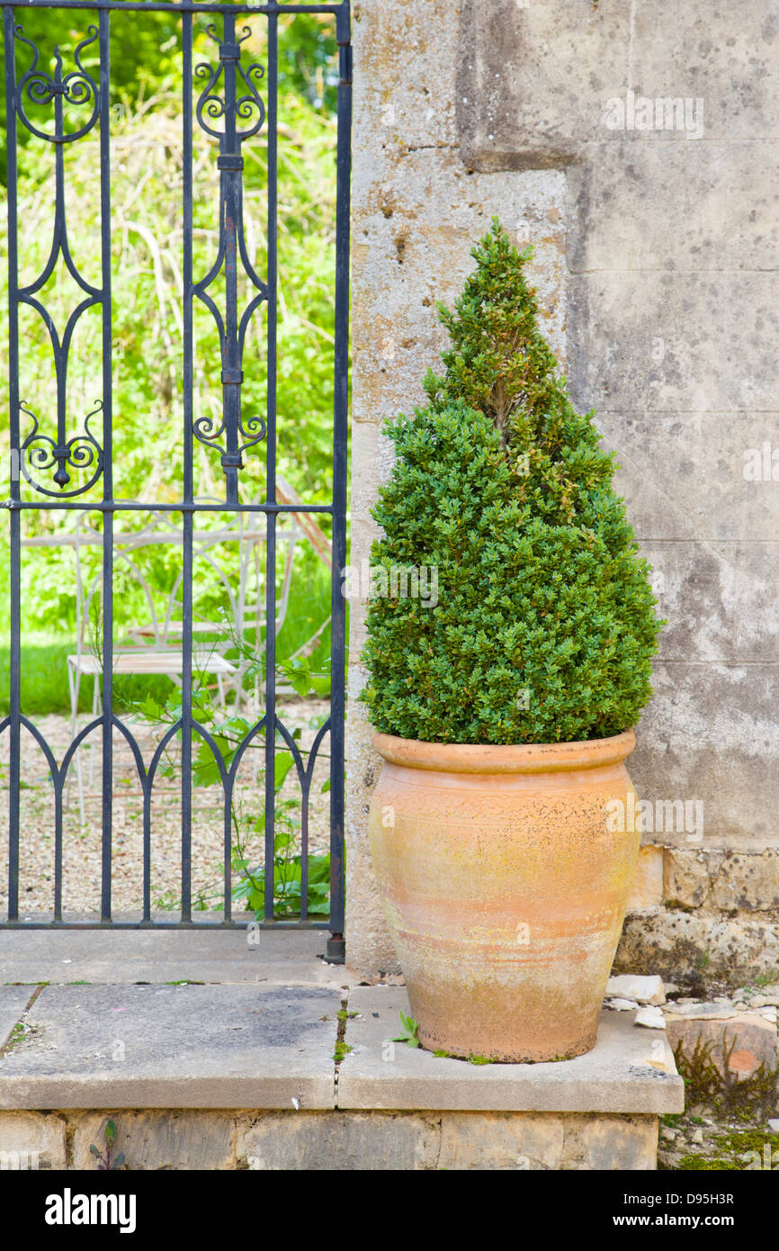 A plant in a pot beside a gate Stock Photo - Alamy