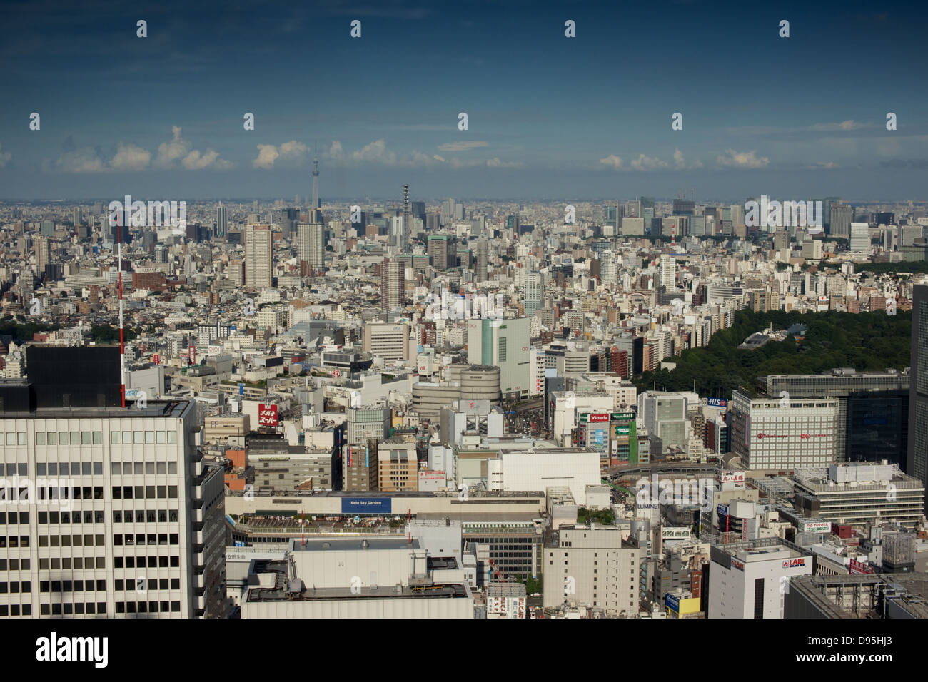 Tokyo skyline as seen from the observatory at the Tokyo Metropolitan ...