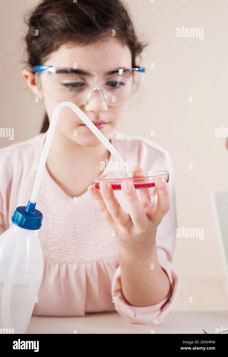 Girl putting Liquid on Petri Dish, Mannheim, Baden-Wurttemberg, Germany ...